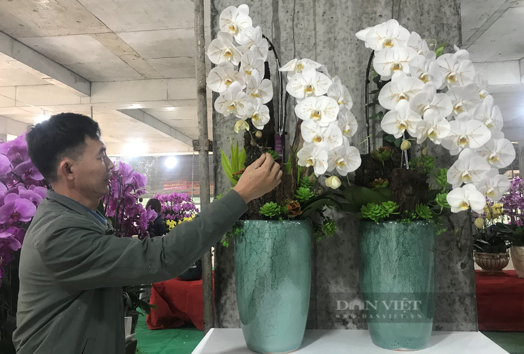 Hoa lan dát vàng 18k món đồ chơi Tết độc lạ, sang chảnh gây sốt thị ...